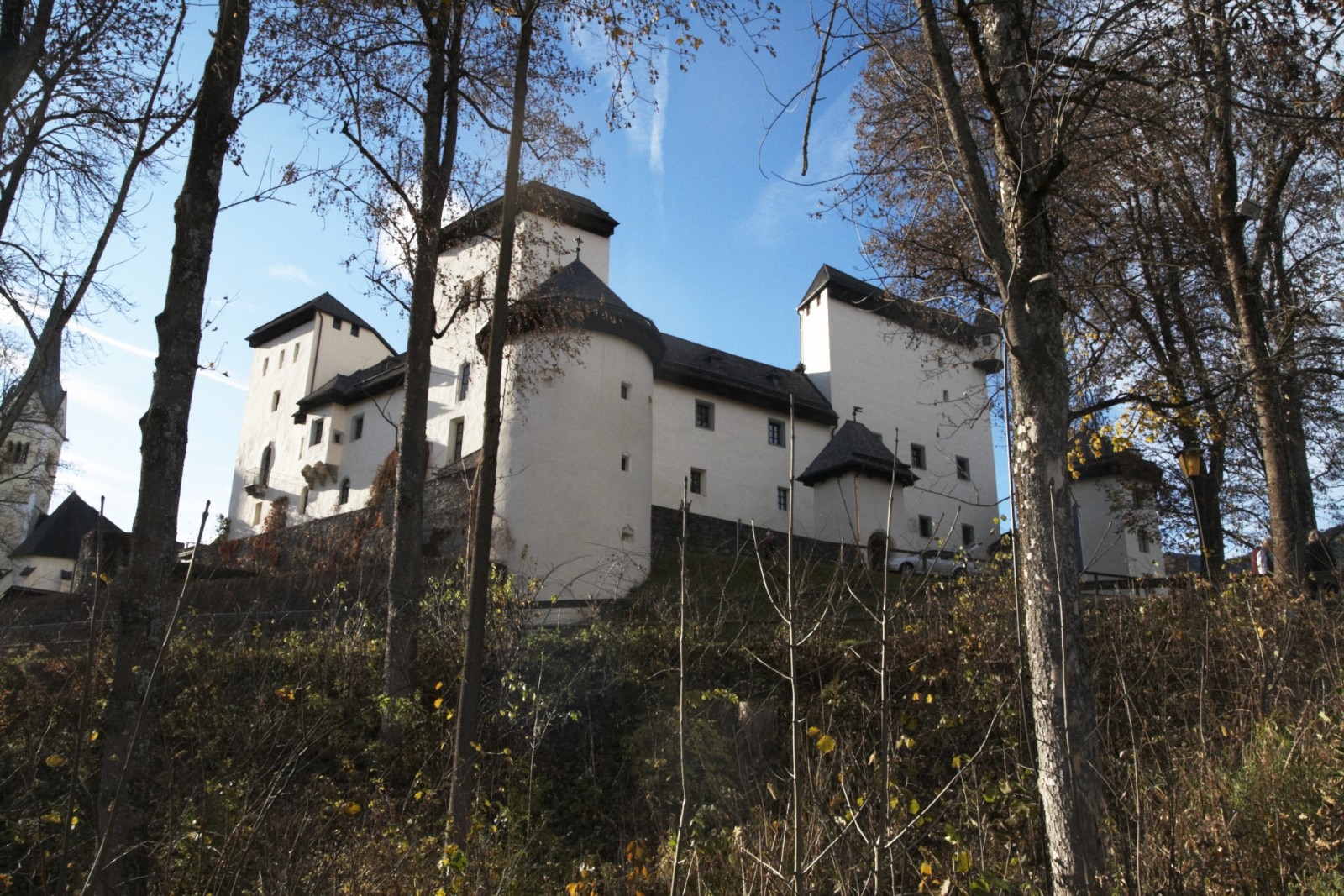 Kulturverein Schloss Goldegg - SalzburgerLand Magazin