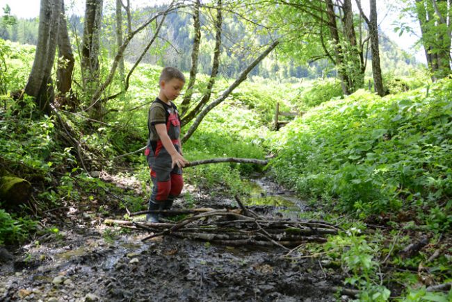 Die Lammer: Vom Ursprung bis zur Mündung | SalzburgerLand Magazin
