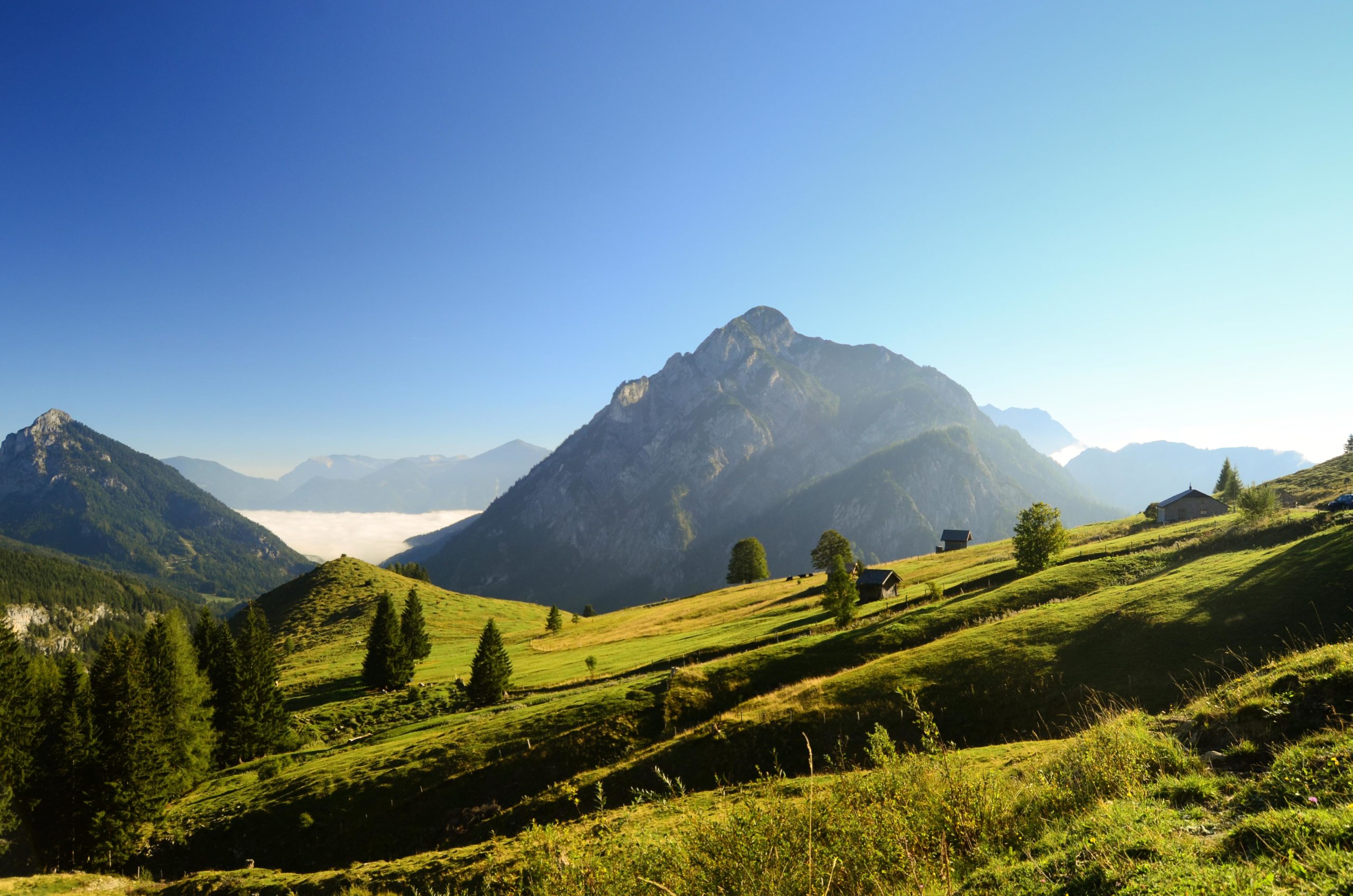 Die Postalm – Österreichs größtes Almgebiet - SalzburgerLand Magazin