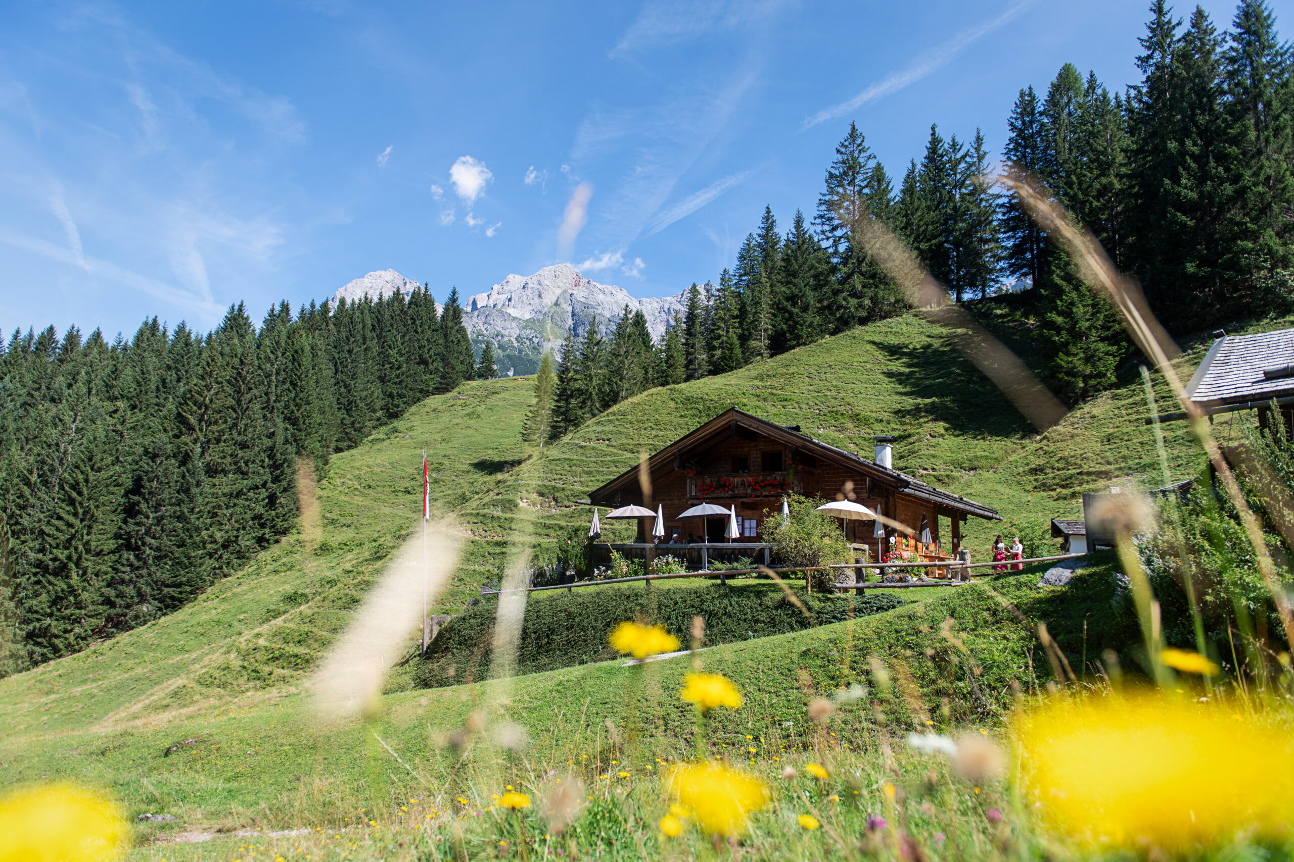Auf der Mußbachalm: Ein Genuss- und Naturerlebnis - SalzburgerLand Magazin